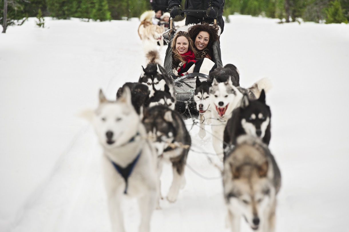 Video: Winter-Incentive-Aktivitäten in Alberta – Ski Kanada